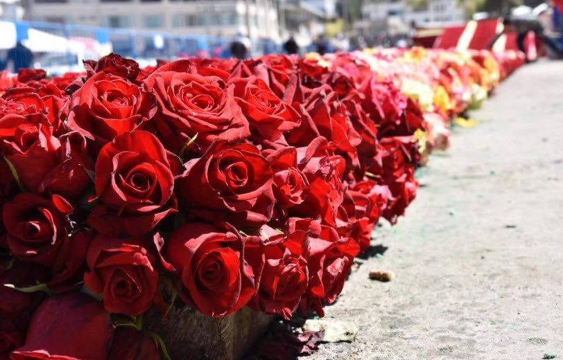 Tabacundo ahora está en la lista de los célebres récords Guinness ...