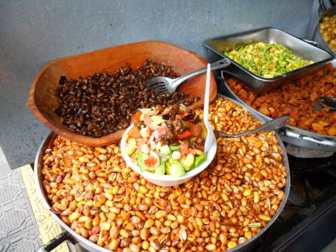 El consumo de catzos blancos: ¿esnobismo o tradición?- Dialoguemos